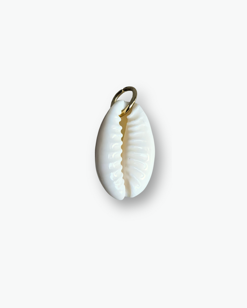 White Conch Shell Charm – Nine Muses Jewellery