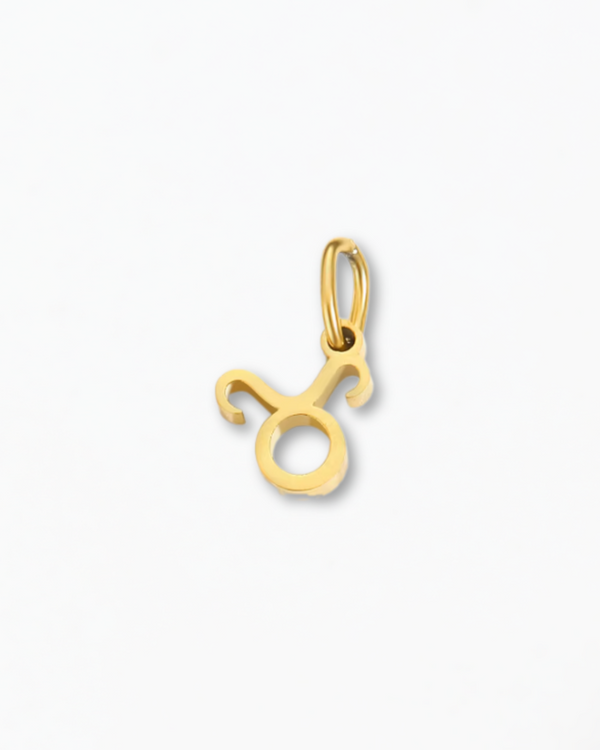 Star Sign Charm – Nine Muses Jewellery